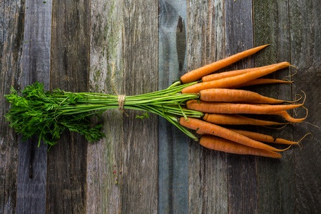 Mrkev obecná - Daucus carota - SalviaParadise.cz